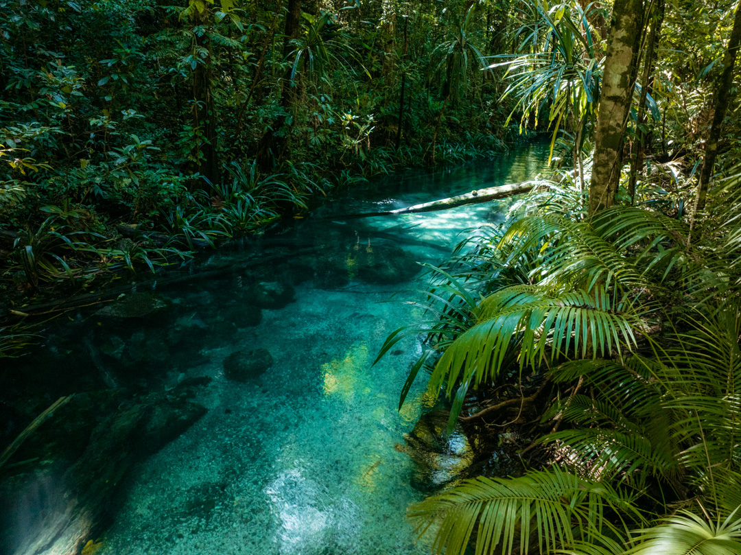 Raja Ampat Expedition mit der Aqua Blu | Windrose